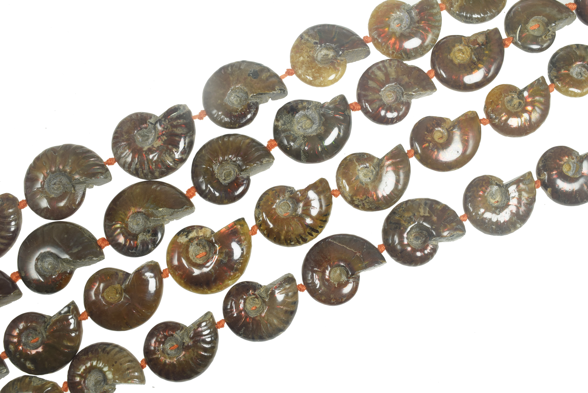 26-32mm Ammolite Bead Strand (15 Inches Long) – BeadsSource